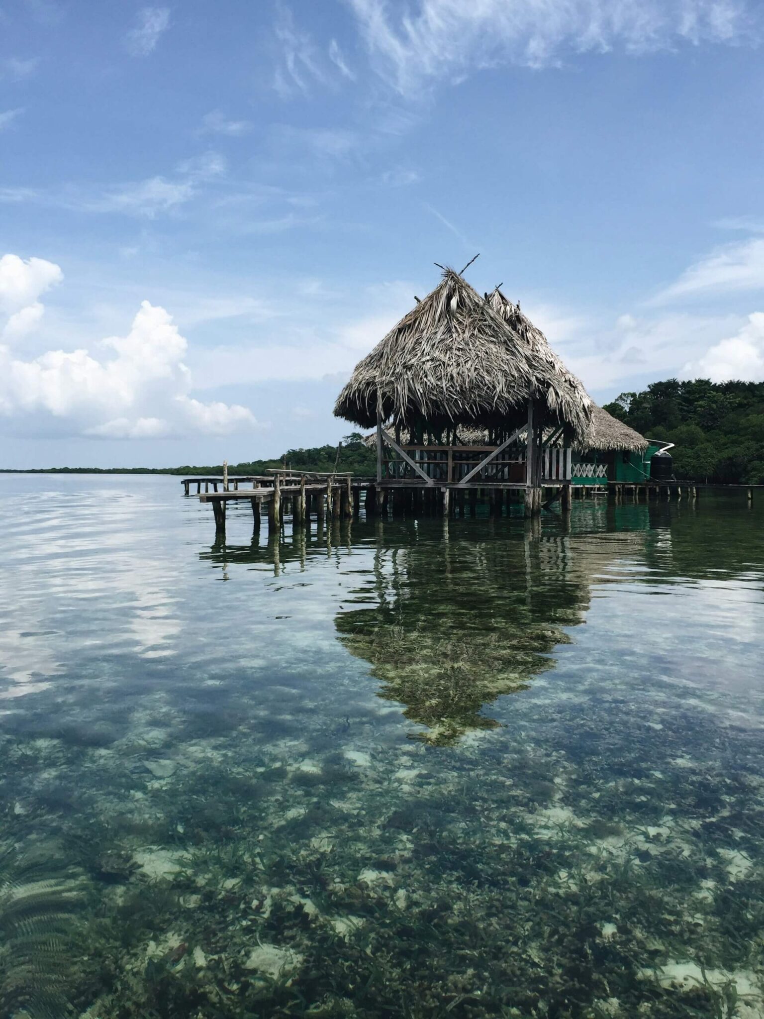 Discover 9 Panama Party Scenes That Outshine Neighbors